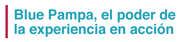 Blue Pampa Company – Business Strategy & Regulatory Compliance