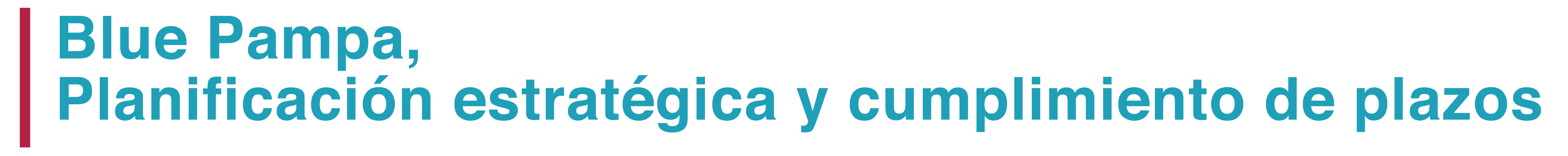 Nuestros Servicios – Blue Pampa Company